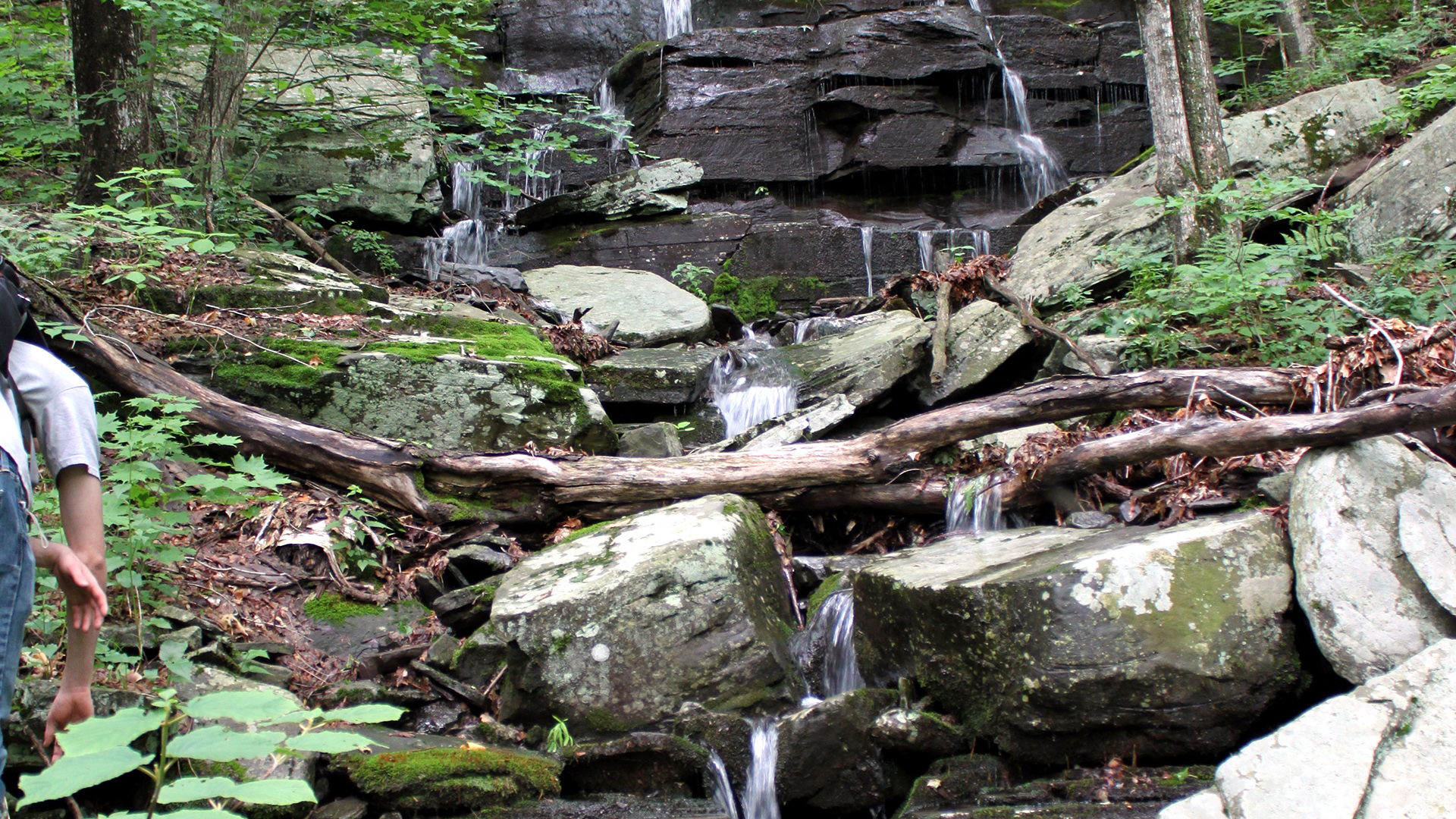 zena-halpern-mountain-1 – Zena Halpern