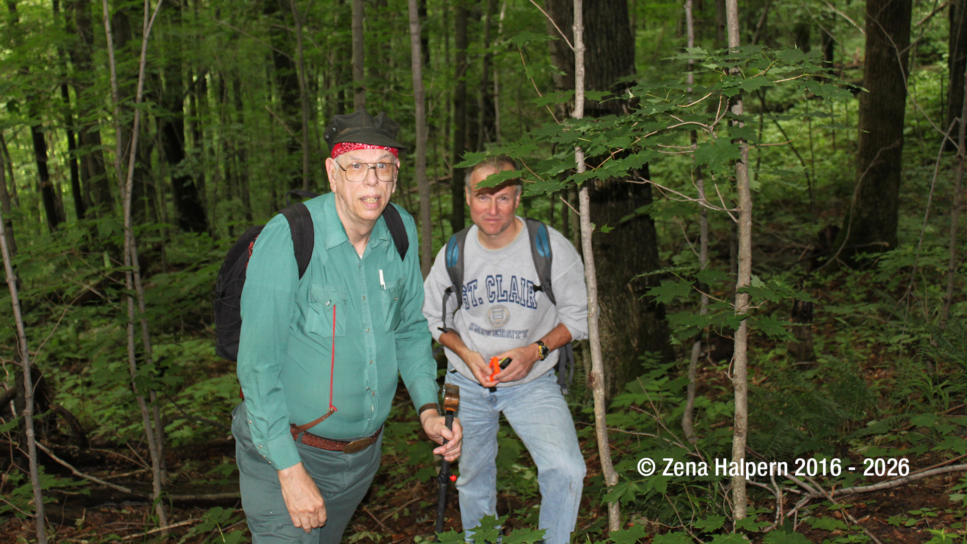 zena-halpern-mountain-2 – Zena Halpern